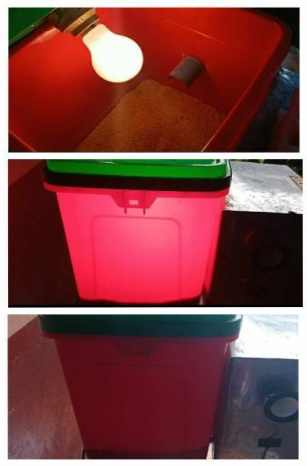 Automated Chicken Feeder and Counter Using Yolov4 Algorithm[v1] | Preprints.org