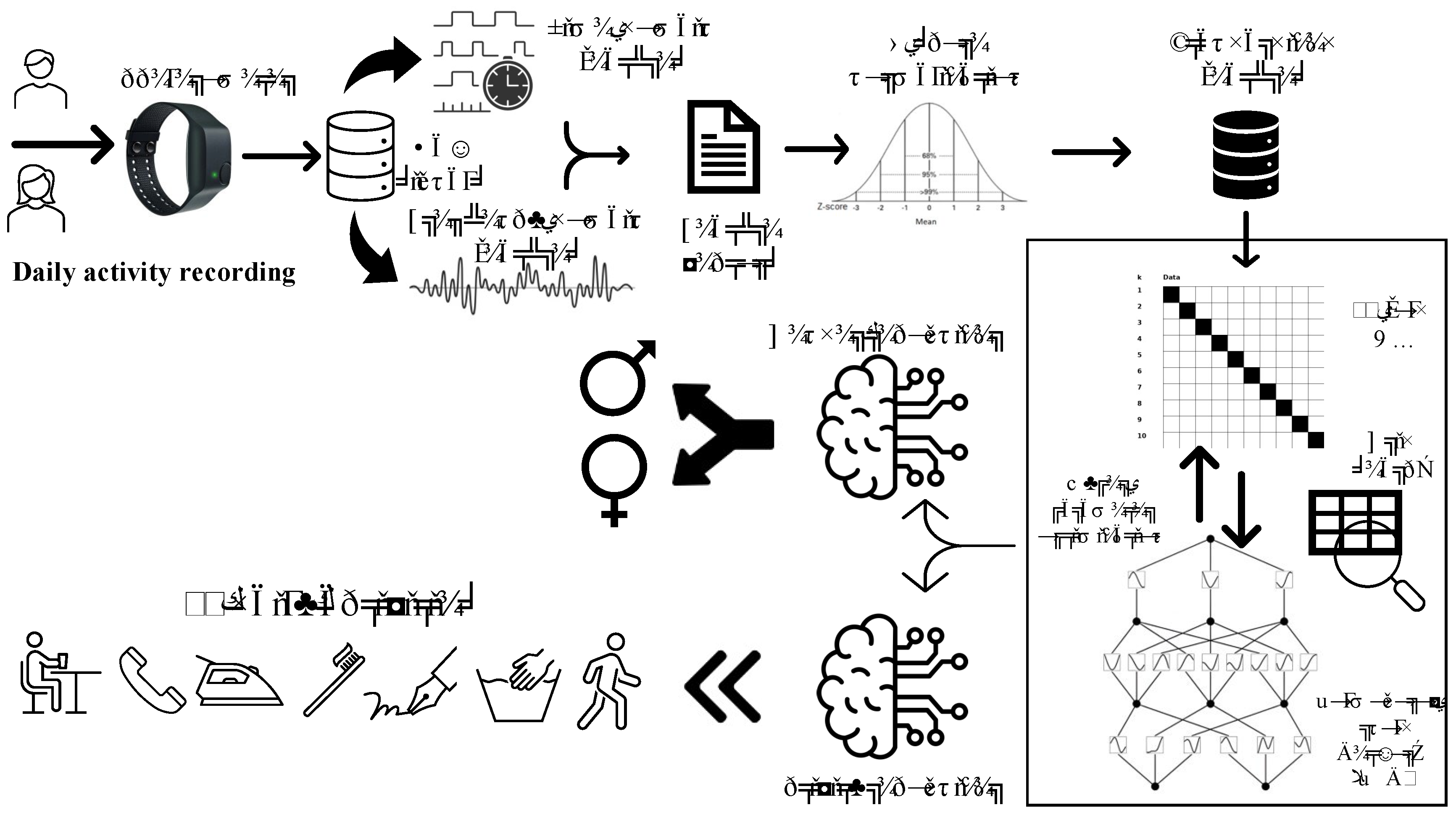 A Kolmogorov-Arnold Network Framework for Human Activity and Gender Recognition[v2] | Preprints.org