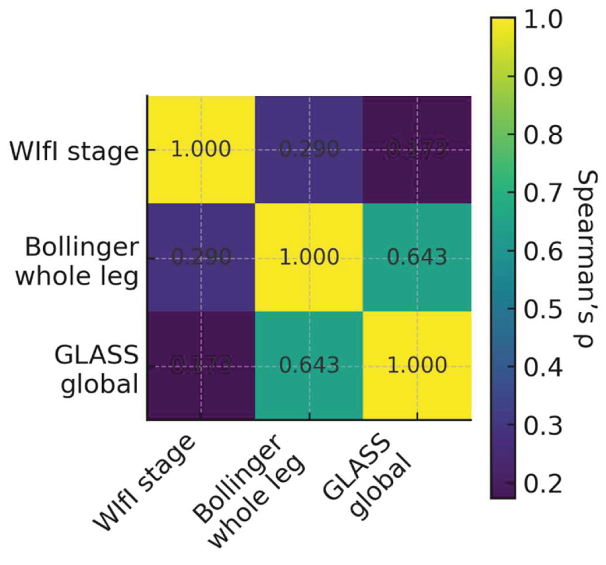Segmental Infrapopliteal Scoring Shows Stronger Associations than ...