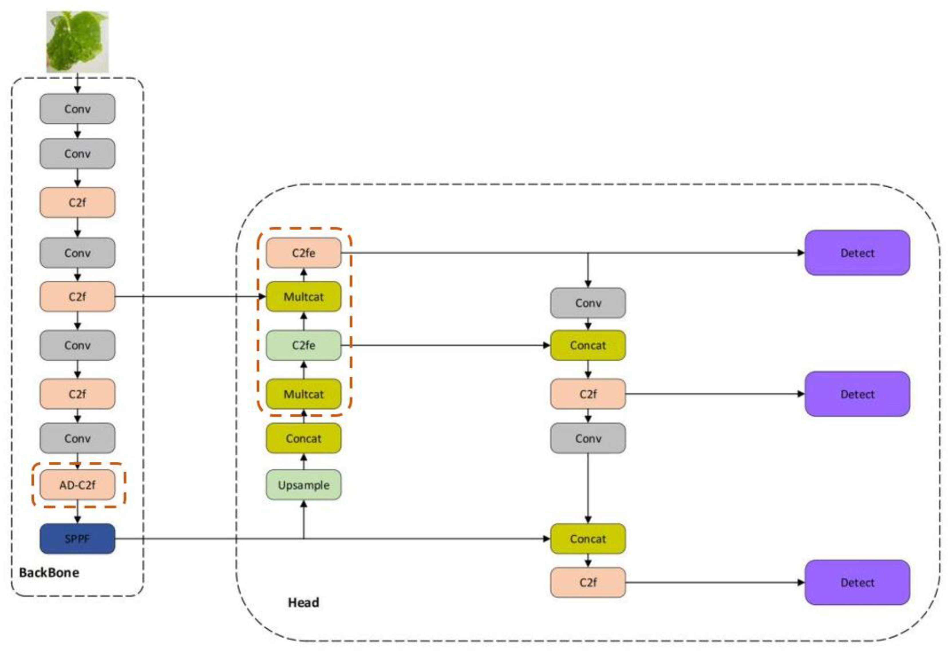 DM-YOLOv8: Improved Cucumber Disease and Insect Detection Model Based on YOLOV8[v1] | Preprints.org