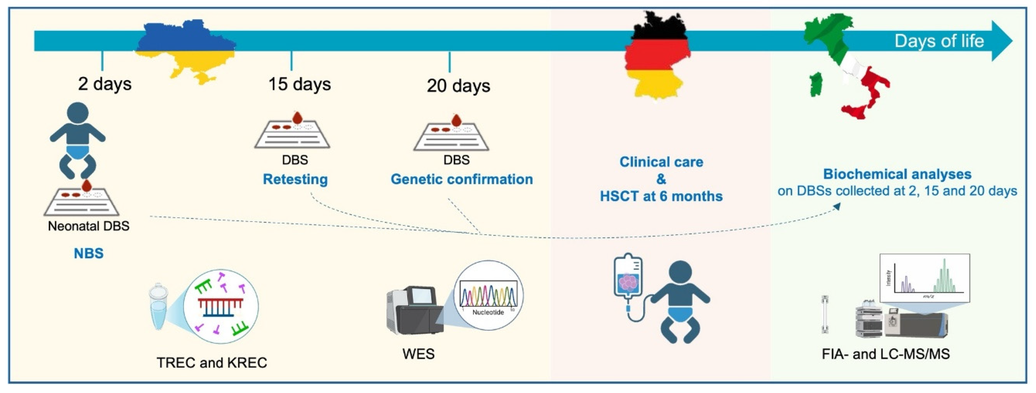 Success of Newborn Screening Beyond War: An International Collaborative ...