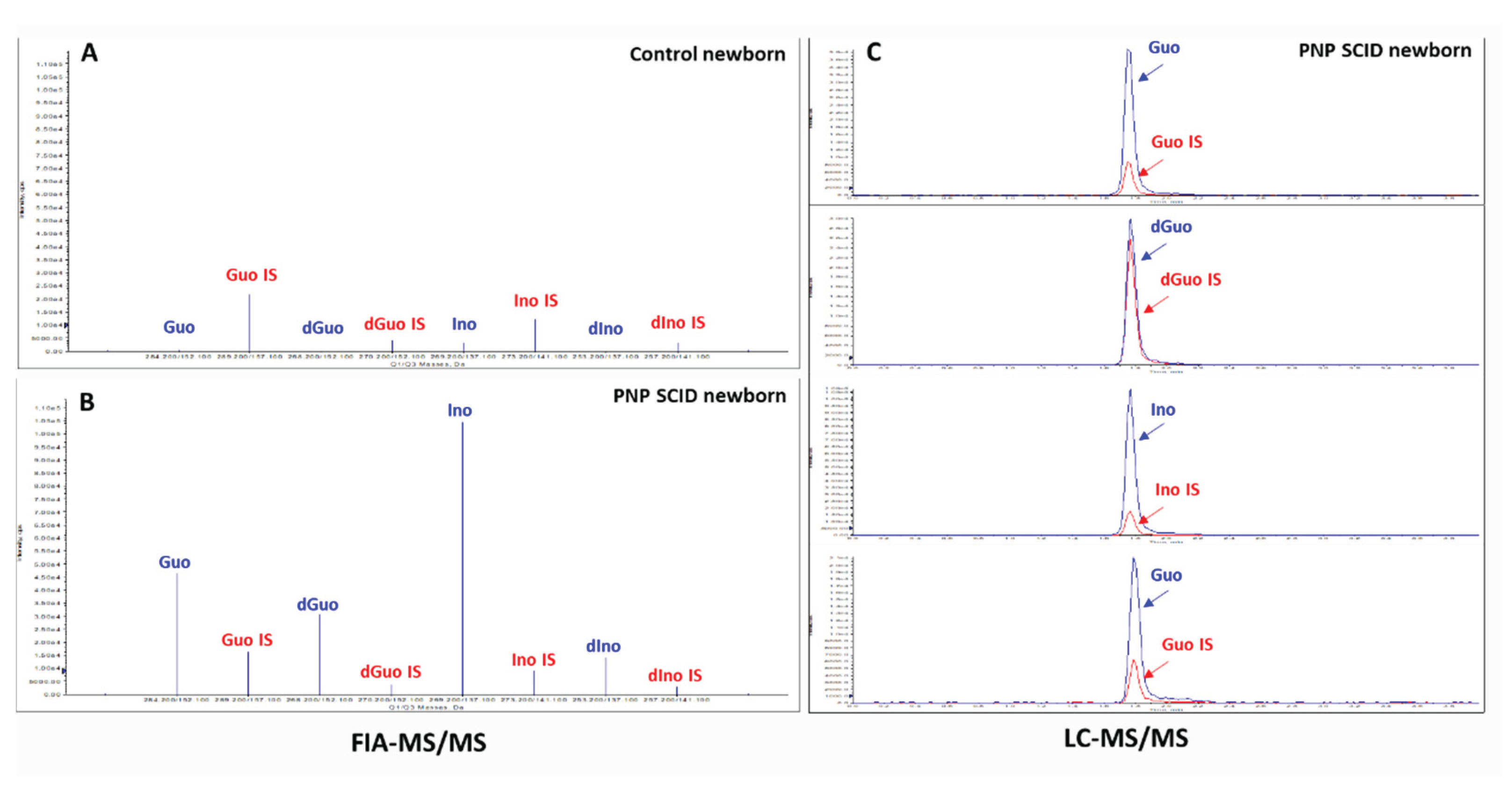 Success of Newborn Screening Beyond War: An International Collaborative ...