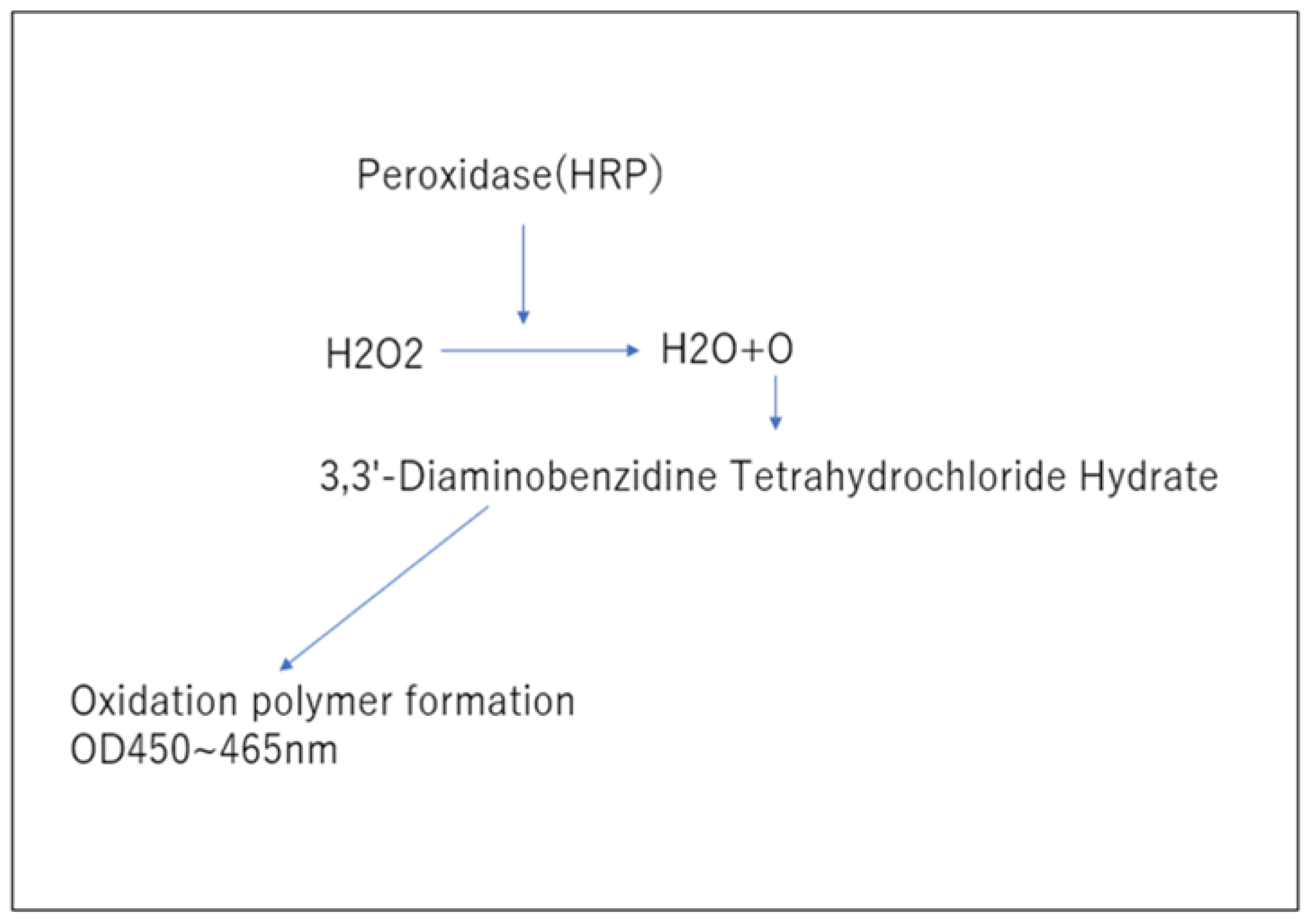 Development of a New Treatment for Interstitial Lung Disease and COPD ...
