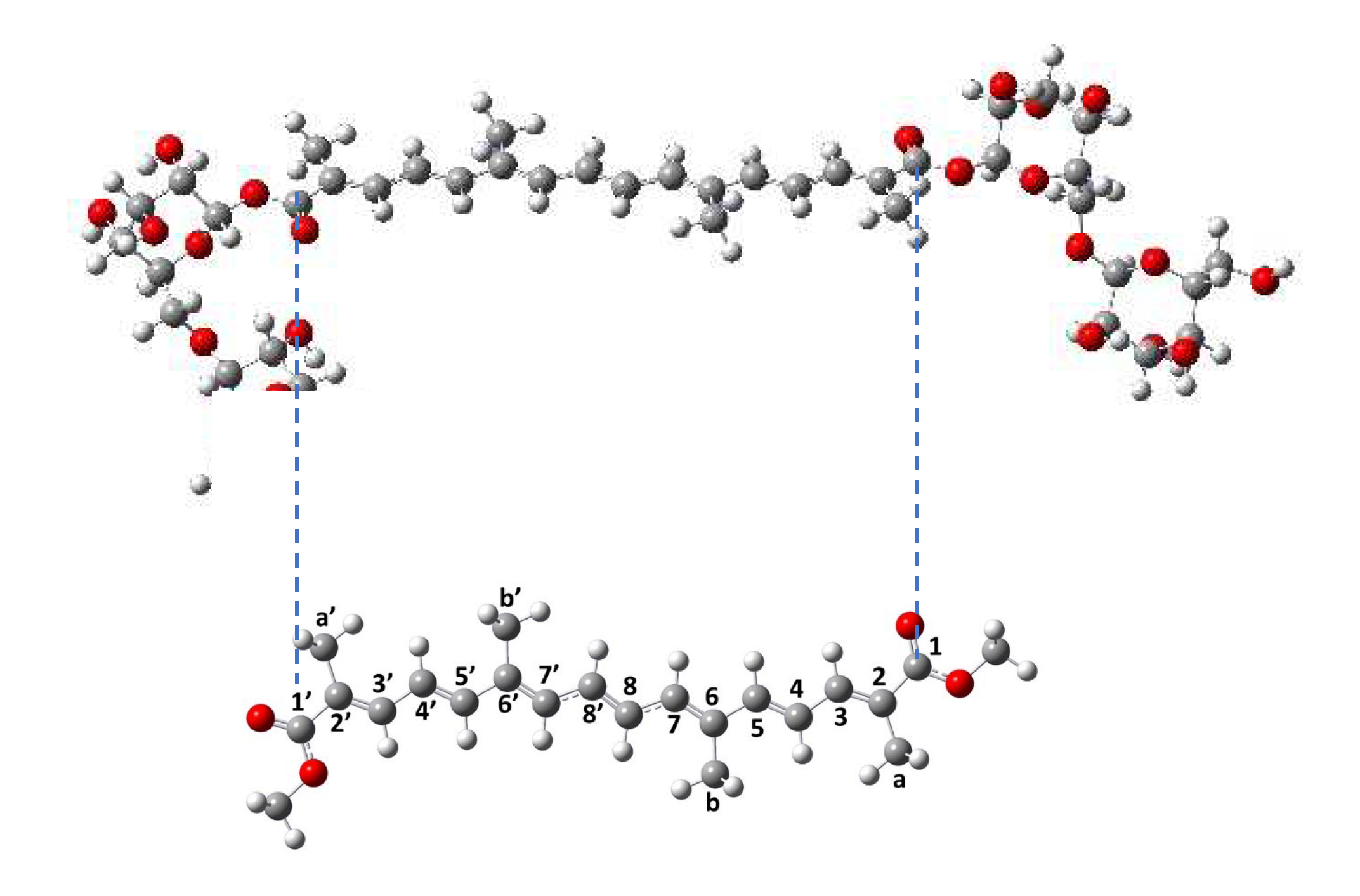 Unveiling the Intimate Mechanism of the Crocin Antioxidant Properties ...