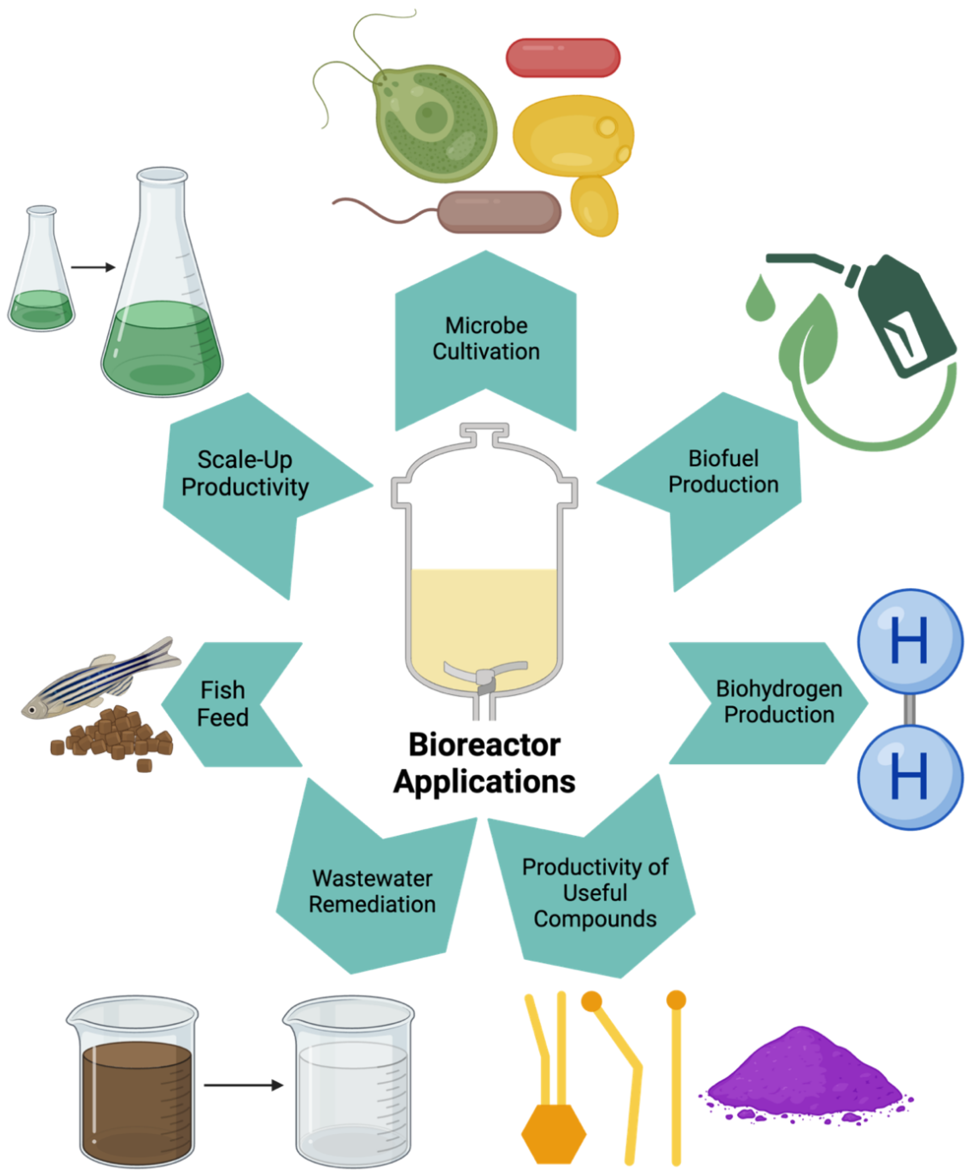Exploring the Impact of Environmental Conditions and Bioreactors on Microalgae Growth and ...