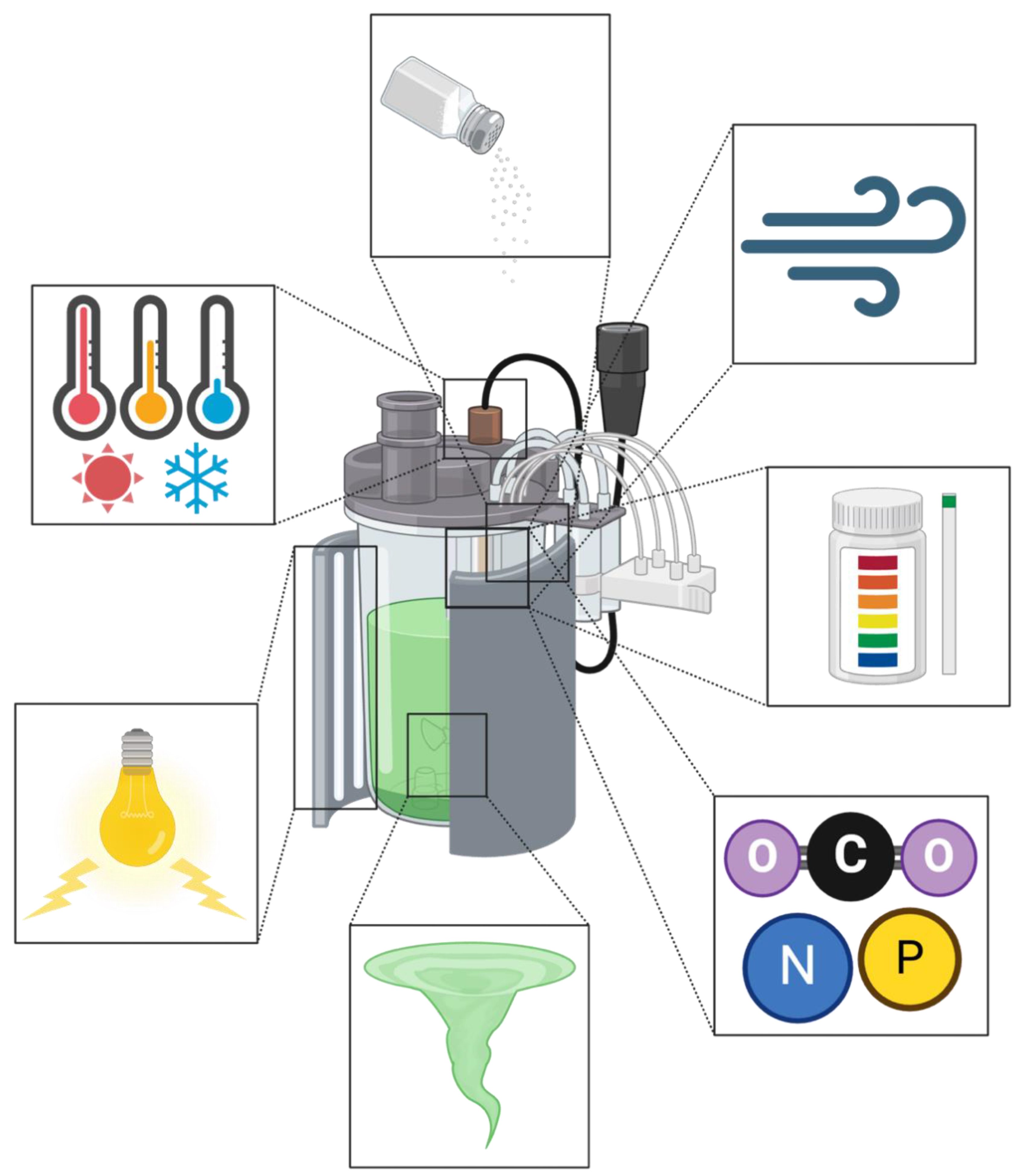 Exploring the Impact of Environmental Conditions and Bioreactors on Microalgae Growth and ...