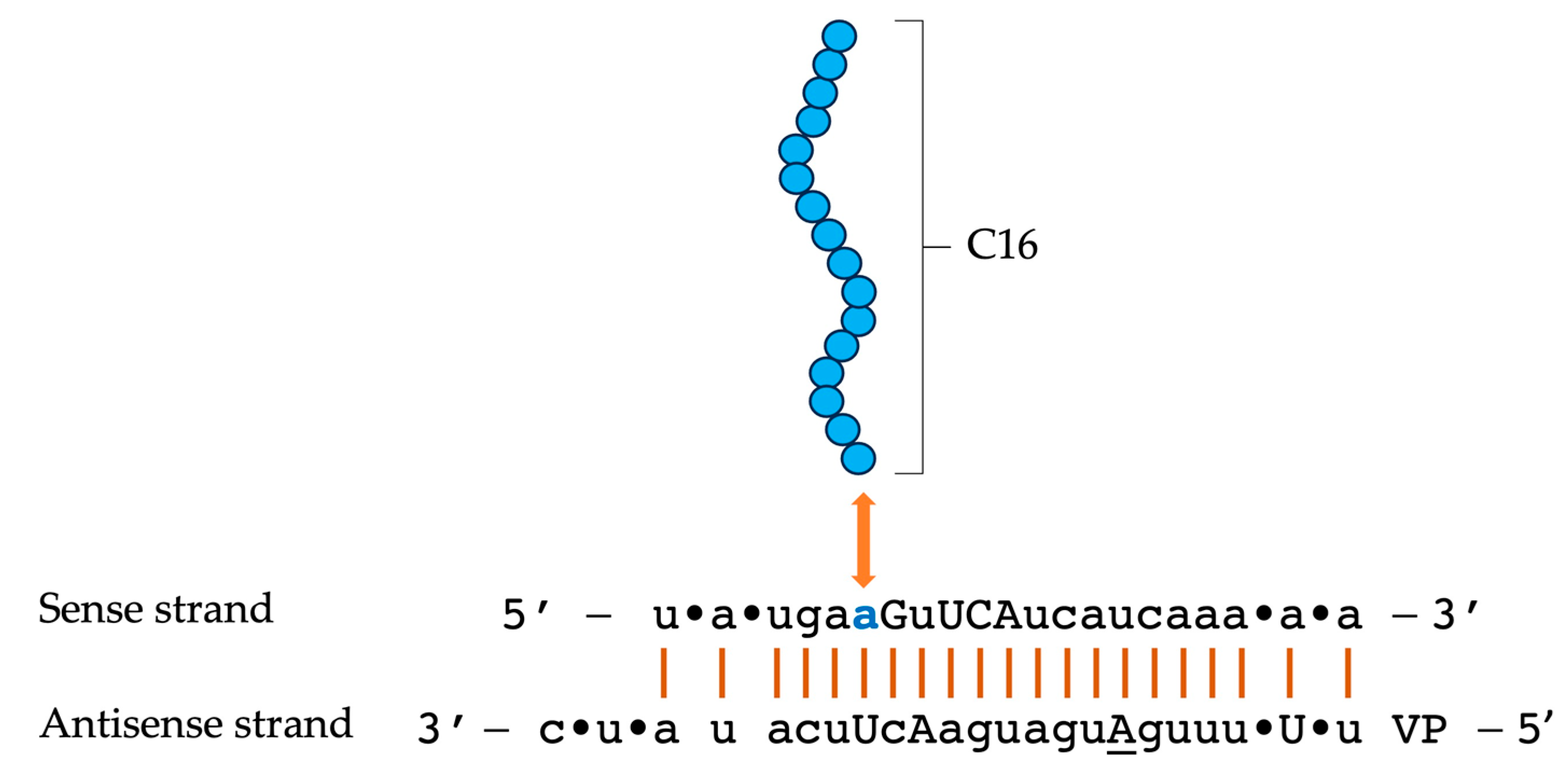 C16-siRNAs in Focus: Development of ALN-APP, the First RNAi-Based Therapeutic for Alzheimer’s ...