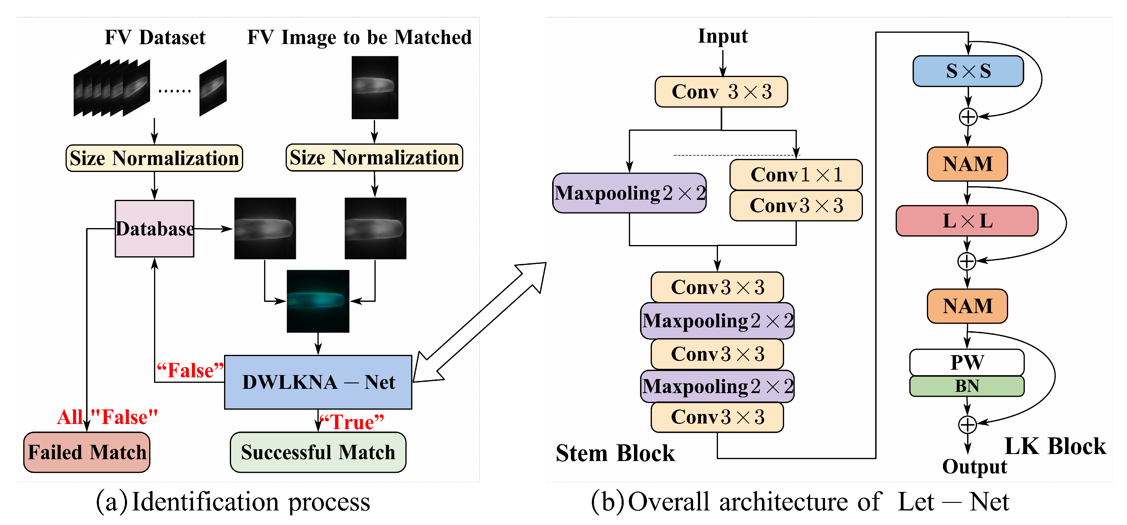 Finger Vein Identification Based on Large Kernel Convolution and Attention Mechanism[v1 ...