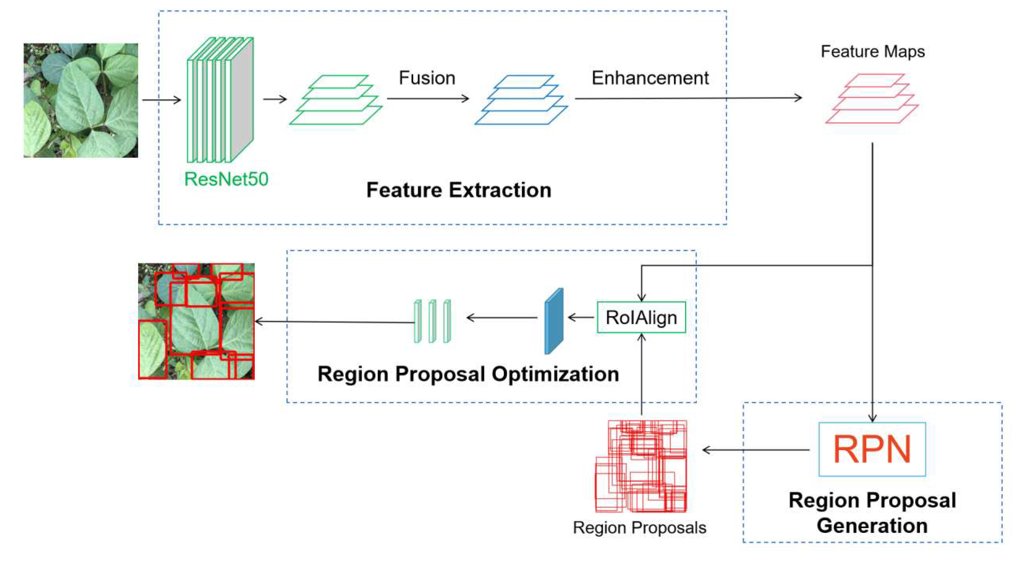Target soybean leaf automatic segmentation based on object detection and interactive ...