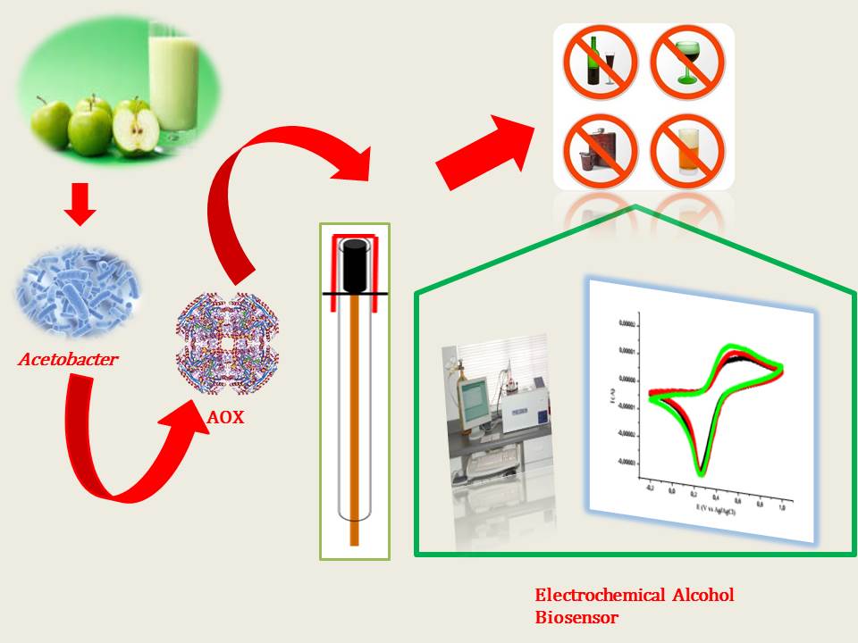 Electrochemical Biosensor Using Acetobacter Enzyme for Detecting ...