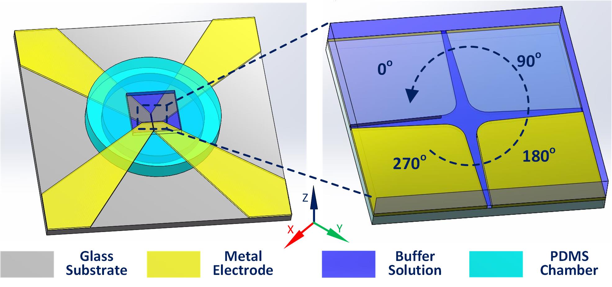 Electrode Cooling Effect on Out-of-Phase Electrothermal Streaming in ...