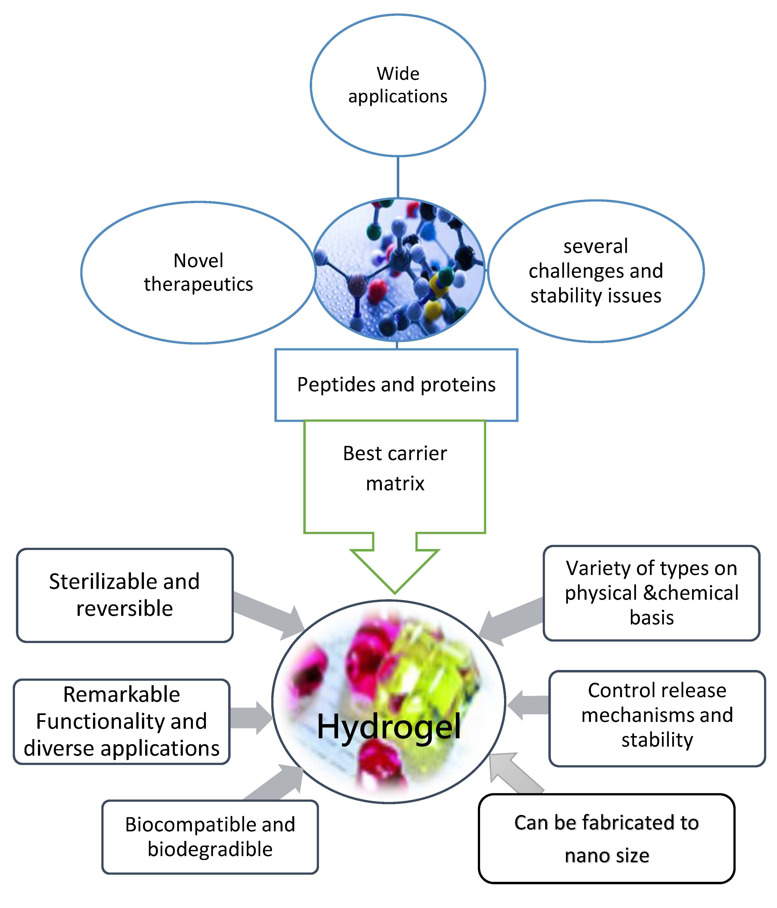 A Review on Recent Advances in Stabilizing Peptides/Proteins upon ...