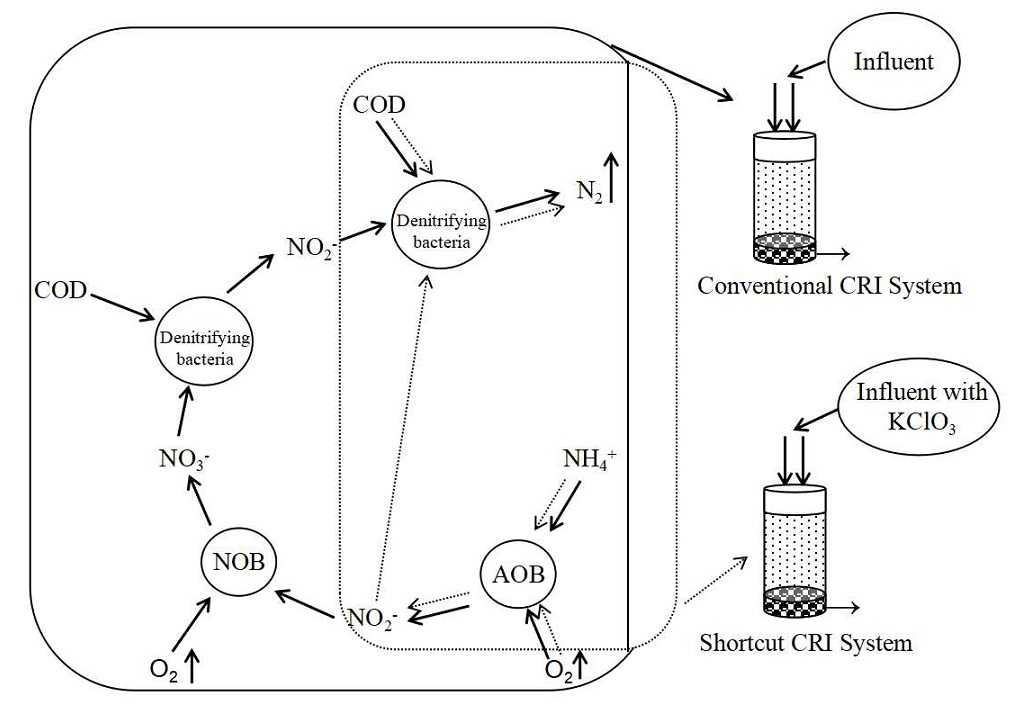 Effect of Potassium Chlorate on the Treatment of Domestic Sewage by ...