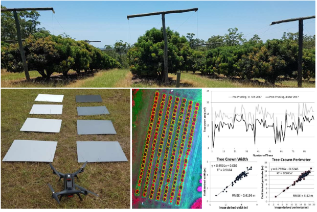Using Multi-Spectral UAV Imagery to Extract Tree Crop Structural ...