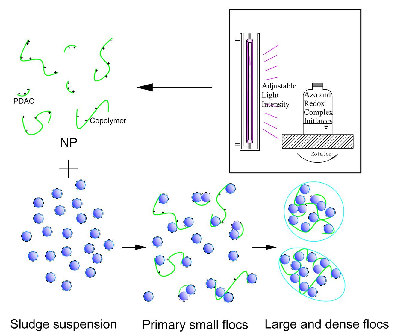 Preparation, Characterization, and Sludge Conditioning of Cationic ...