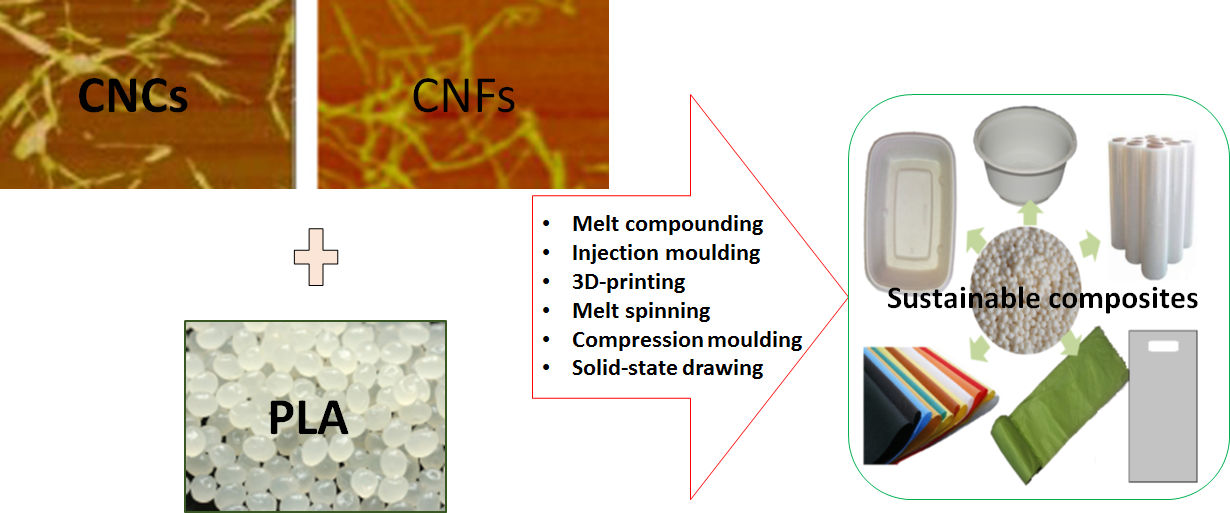 Processing of Thermoplastic PLA/Cellulose Nanomaterials Composites[v1 ...