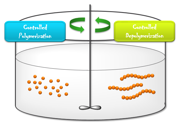 Reversibility in Controlled Polymerization Systems: Recent Progress and ...