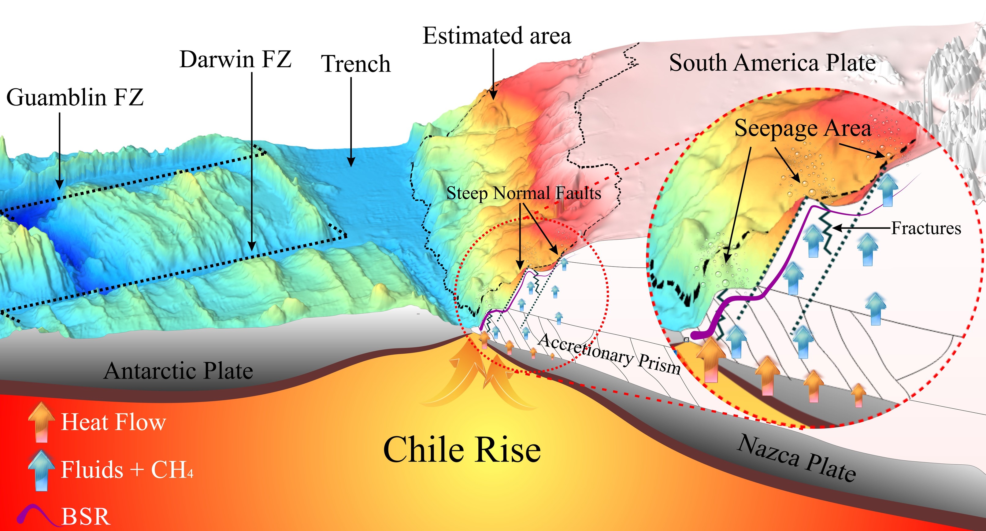Gas Hydrate Estimate in an Area of Deformation and High Heat Flow at ...