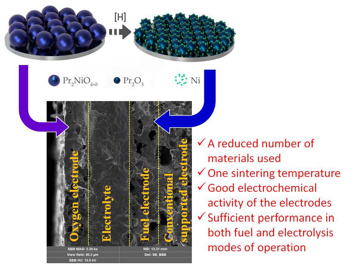 A Reversible Protonic Ceramic Cell with Symmetrically Designed Pr2NiO4 ...