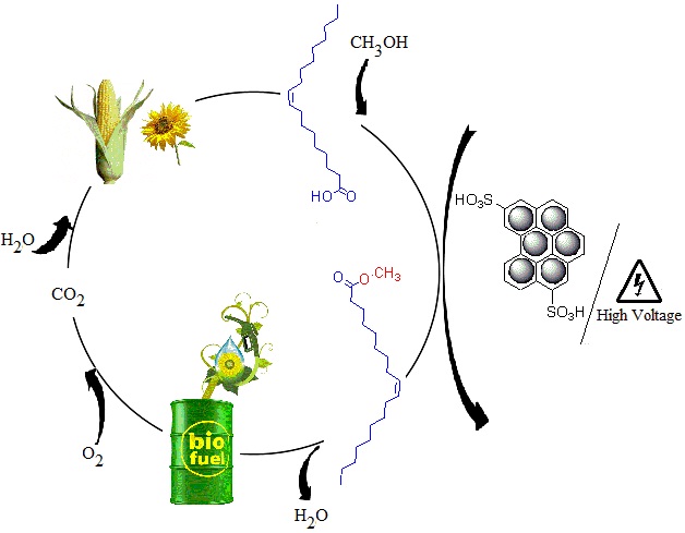 Sulfonated Carbon Material as An Efficient Solid Acid Catalyst for ...