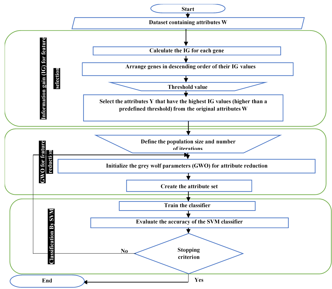 Breast and Colon Cancer Classification from Gene Expression Profiles ...