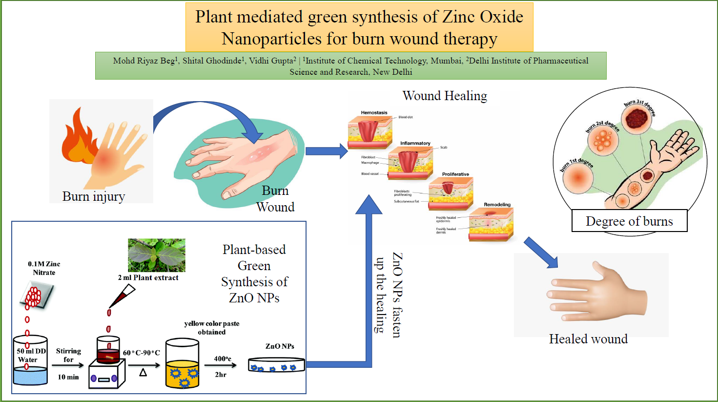 Plant Mediated Green Synthesis of Zinc Oxide Nanoparticles for Burn ...
