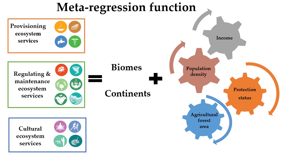 A Global Meta-Analysis for Estimating Local Ecosystem Service Value ...