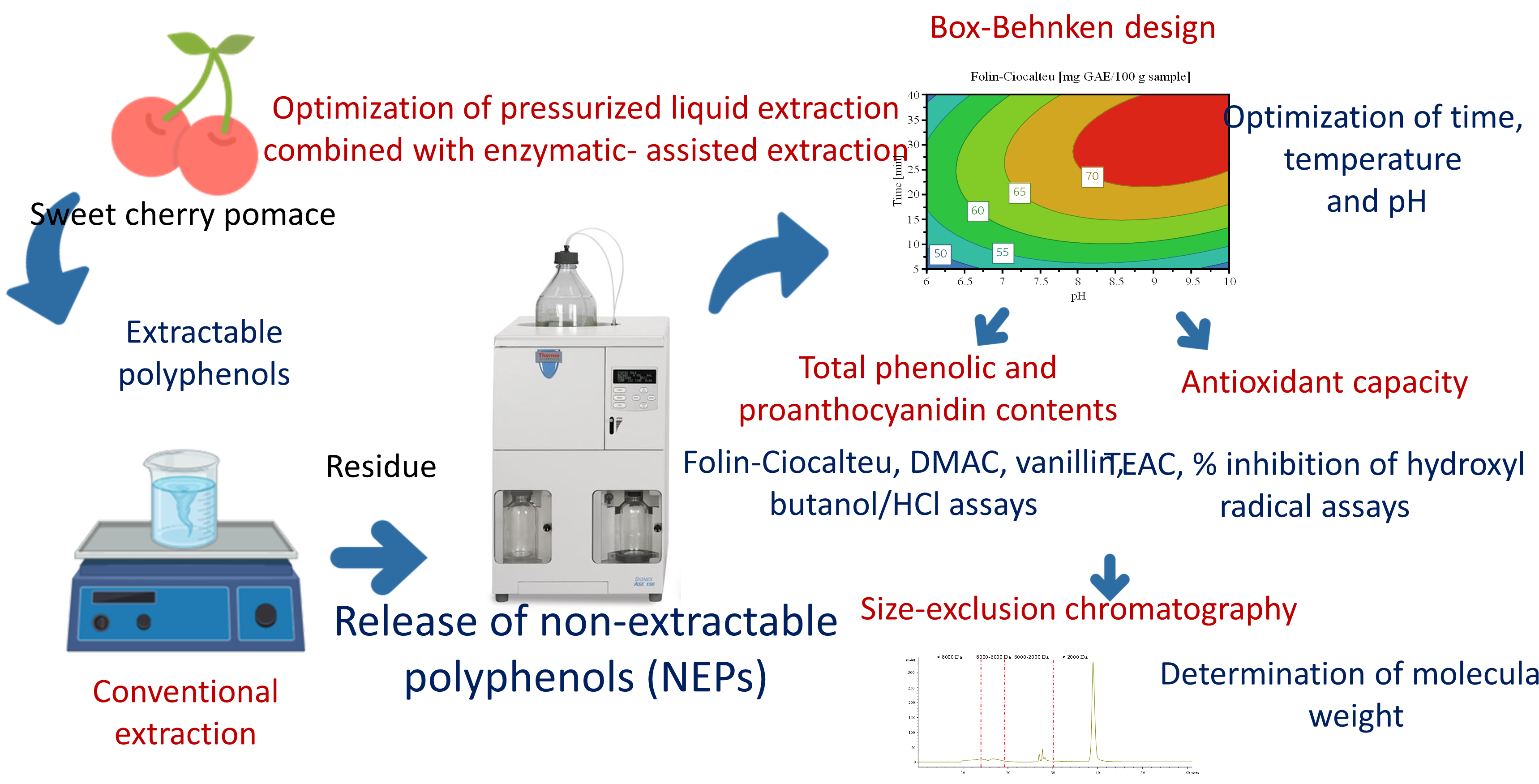 Combining Pressurized Liquid Extraction and Enzymatic-Assisted ...