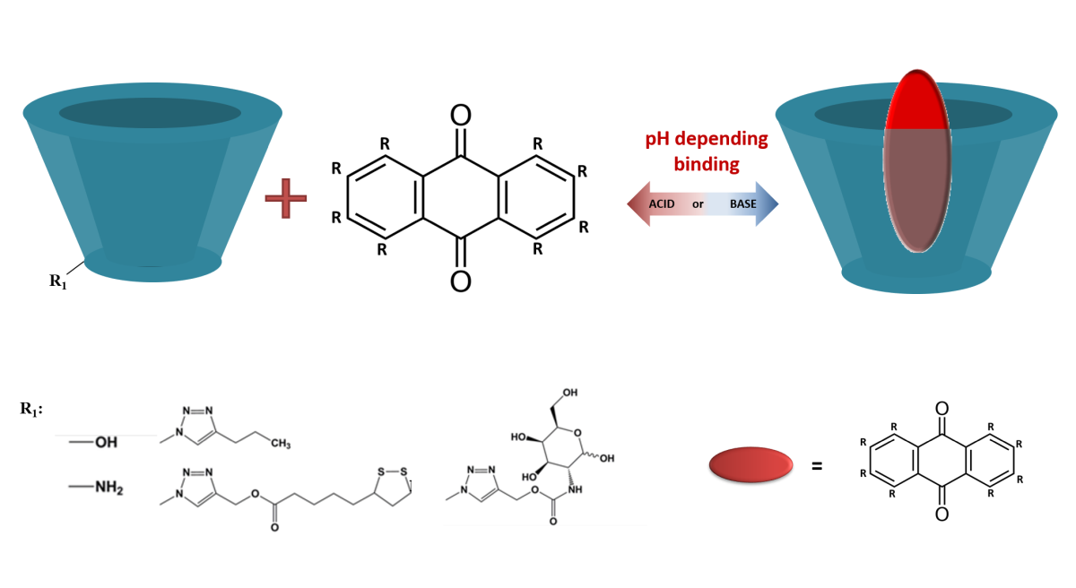 Adjusting the Structure of β-cyclodextrin to Improve Complexation of ...