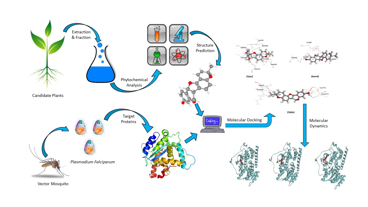 Exploratory Analysis into the in vitro and in silico Activity of E ...