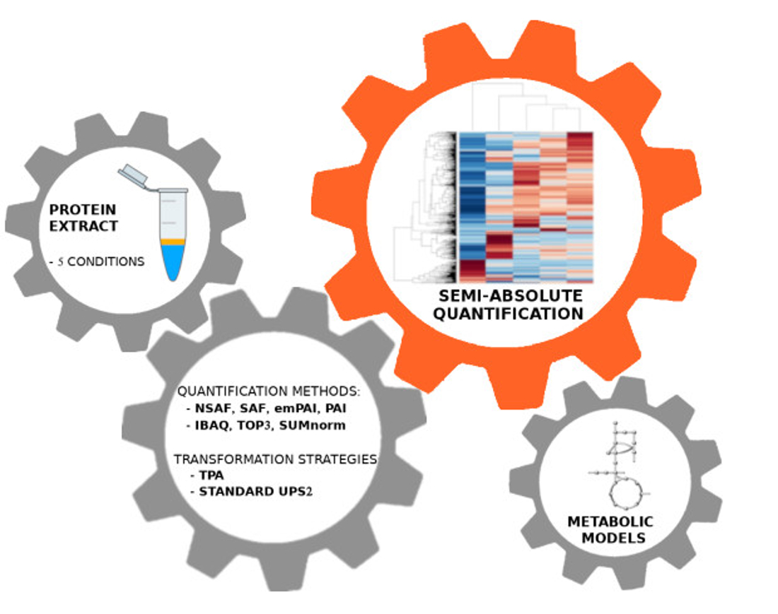 Comparison of Different Label-free Techniques for the Semi-absolute ...