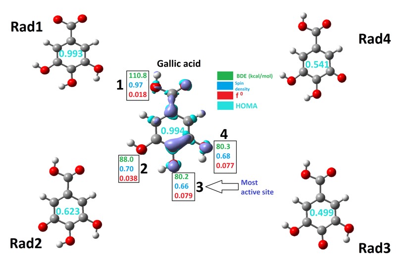 Theoretical DFT Study of the Antioxidant Activity of Five Plant Food ...