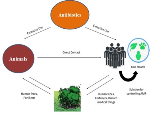 One Health Approach for combating Antimicrobial Resistance in Animals ...