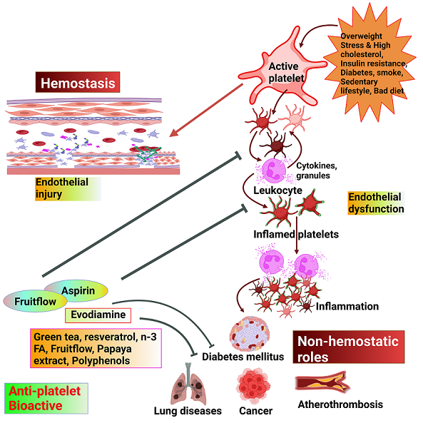 Non-Hemostatic Functions of Human Blood Platelets: Effects of Bioactive ...