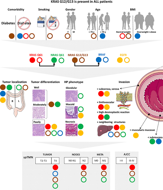 RAS, BRAF and EGFR Related Genetic Mutations as Predictive Biomarkers ...