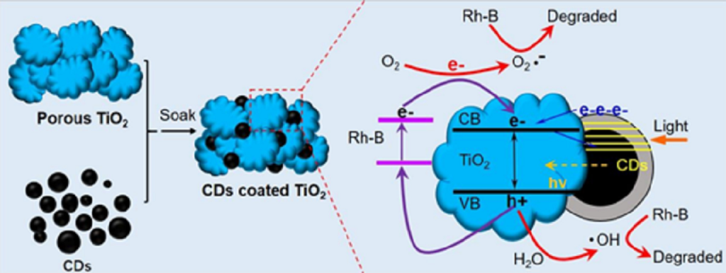 Porous TiO2/Carbon Dots Nanoflowers with Enhanced Surface Areas for Improving Photocatalytic ...
