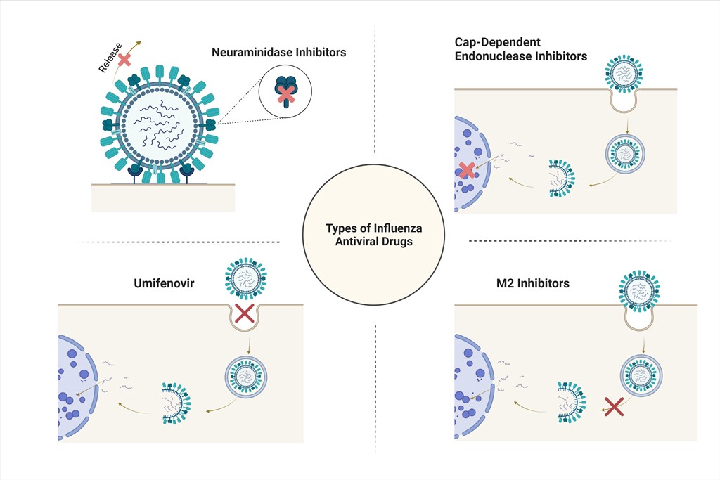 Understanding Anti-Influenza Antiviral Drugs[v1] | Preprints.org