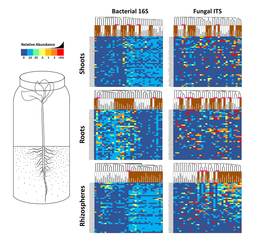 Stochastic Inoculum, Biotic Filtering and Species Specific Transmission ...