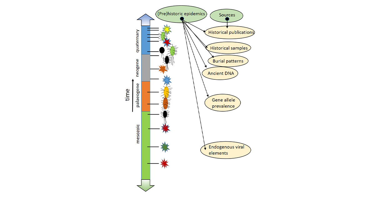 Historic and Prehistoric Epidemics: An Overview of Sources Available ...
