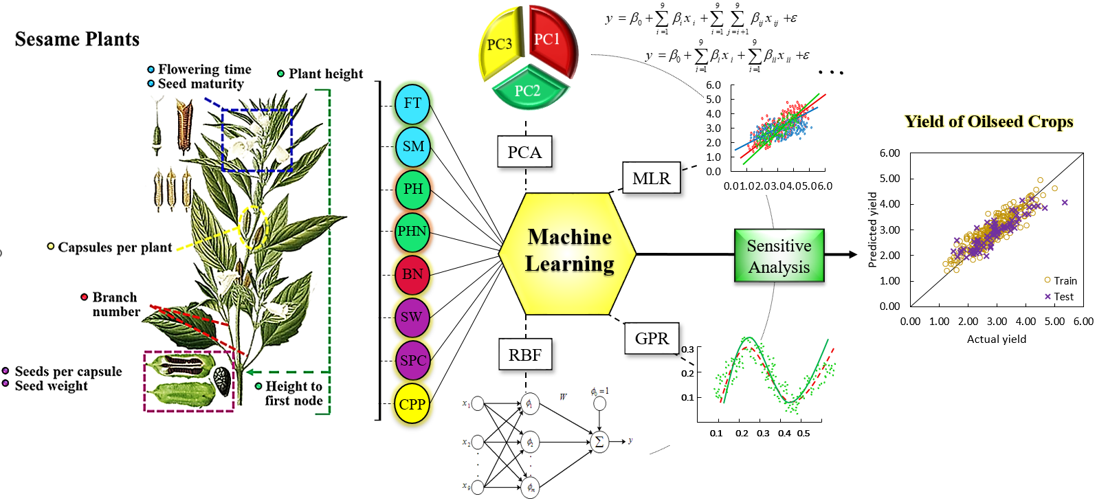 Towards Modeling and Predicting the Yield of Oilseed Crops: Multi ...