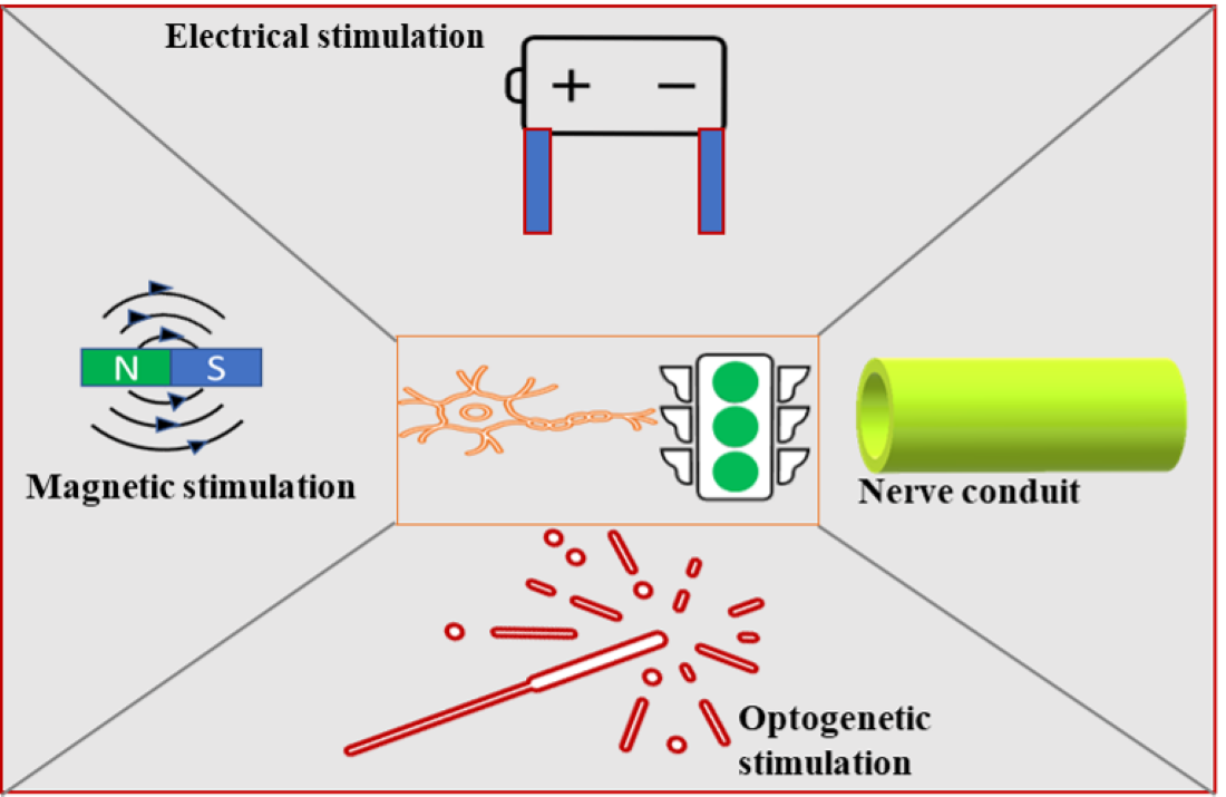 A Review on the Technological Advances and Future Perspectives of Axon ...