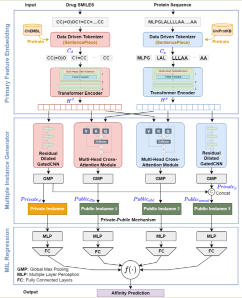 Modeling DTA by Combining Multiple-Instance Learning with a Private ...
