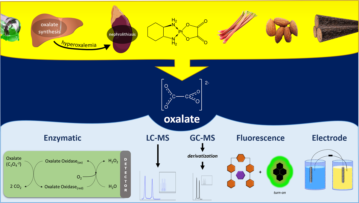 Analytical Methods for Oxalate Quantification: The Ubiquitous Organic ...