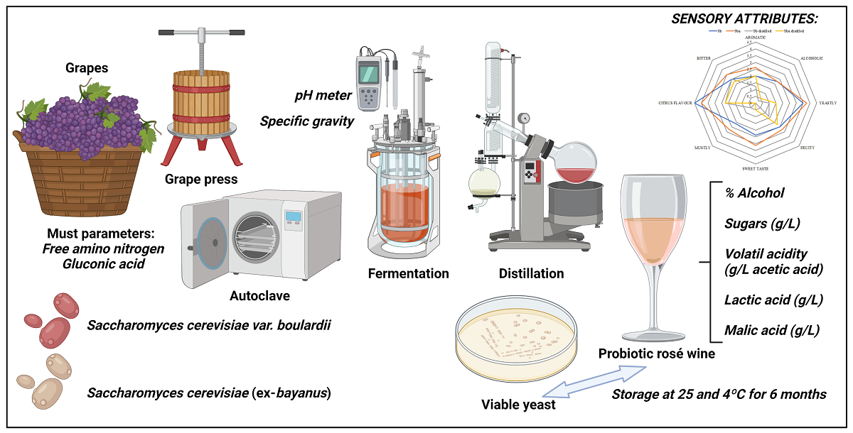 Probiotic Rosé Wine Made with Saccharomyces Cerevisiae var. Boulardii ...