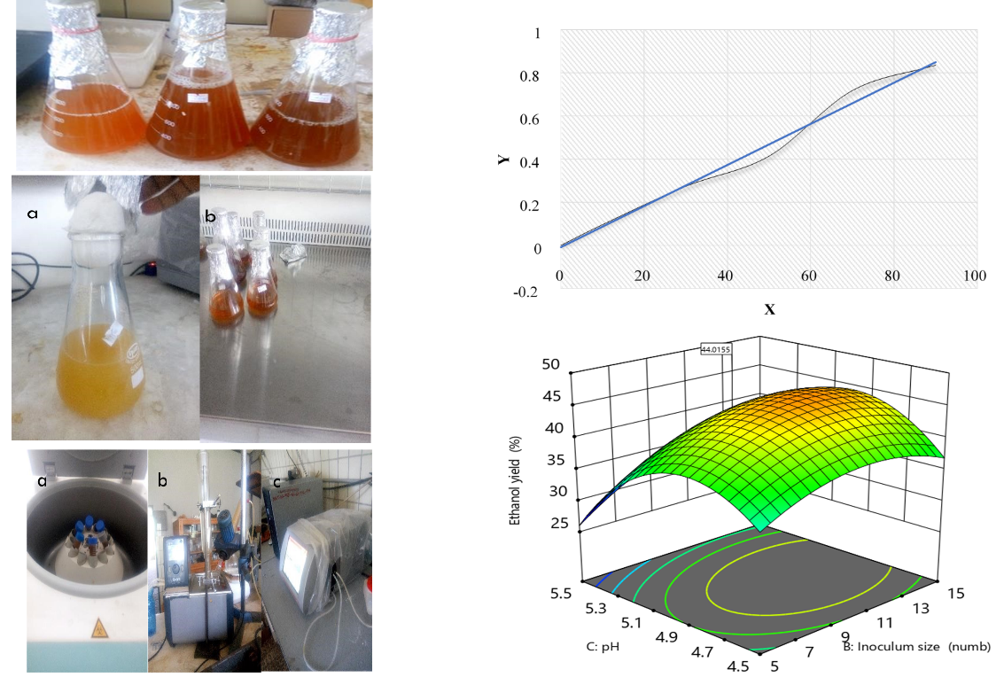 Bioethanol Production from Sequential Acidic-Alkaline Pretreated Sorghum Straw Hydrolysate and ...