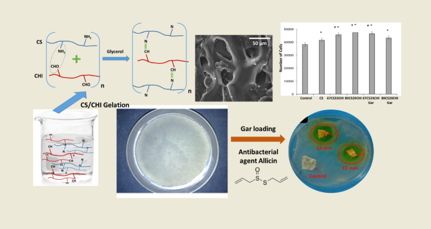 Development and Characterization of Garlic Loaded Chitosan and Chondroitin Sulfate Based ...