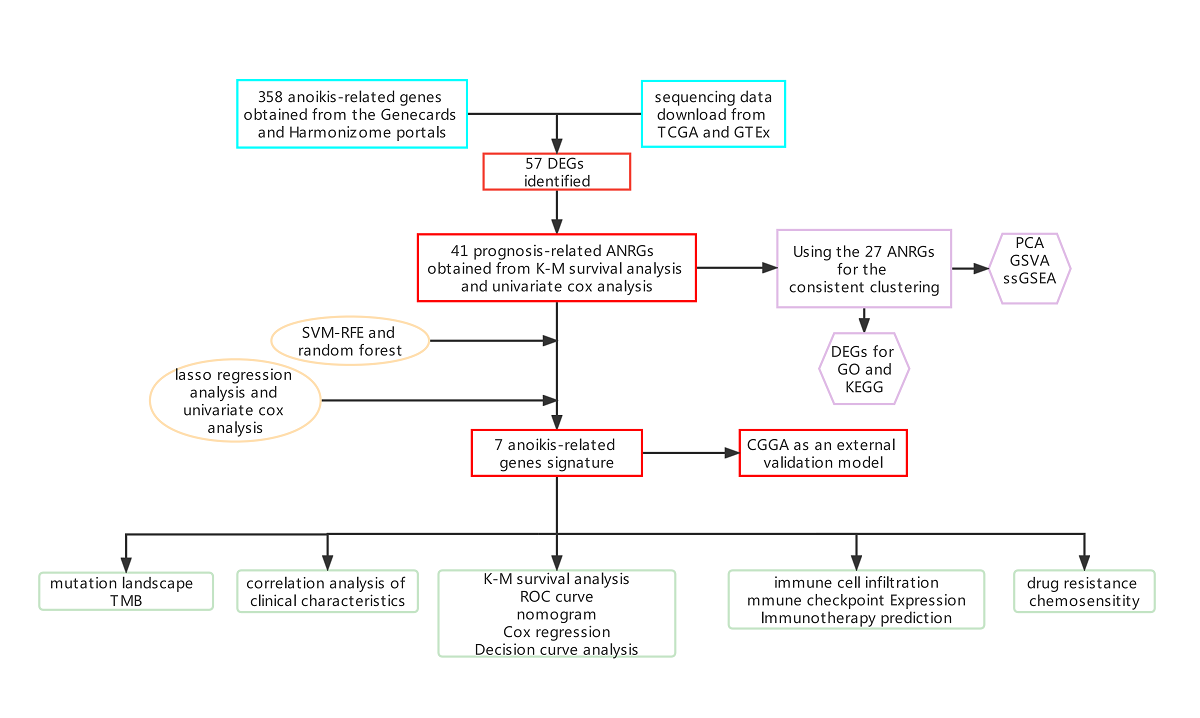 A Novel Anoikis-Related Gene Signature Predicts Prognosis in Patients with Low-Grade Glioma and ...