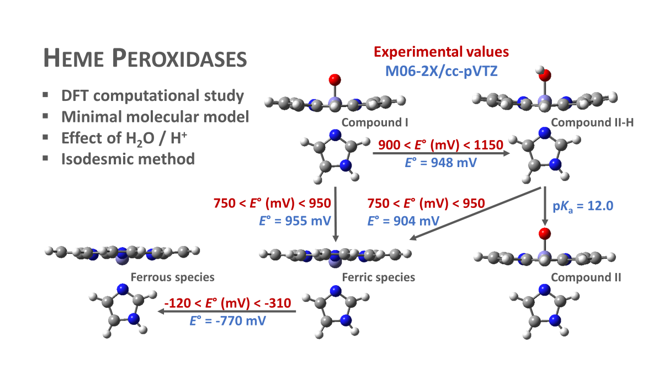On the Origin of the Common Reactivity and Properties of Heme ...