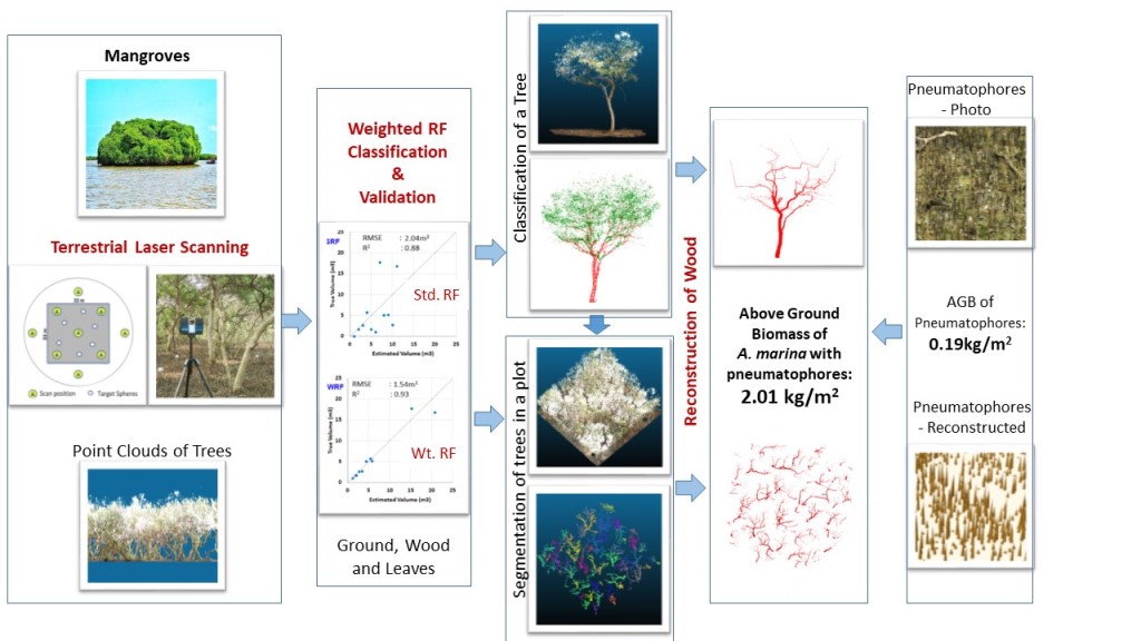 Estimation Of Above Ground Volume Of Mangrove Forest Trees From Terrestrial Lidar Data Using