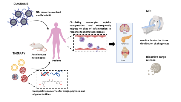 Nanoparticles Targeting Monocytes and Macrophages as Diagnostic and ...